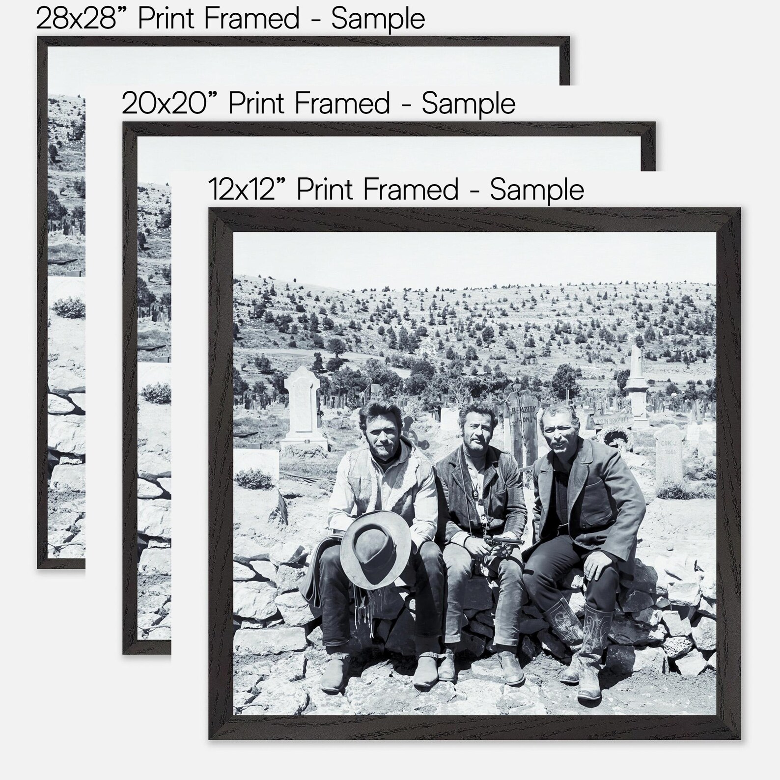 Bram Stoker's Dracula 1992, Count Dracul, Movie Legend, Iconic Actor ...