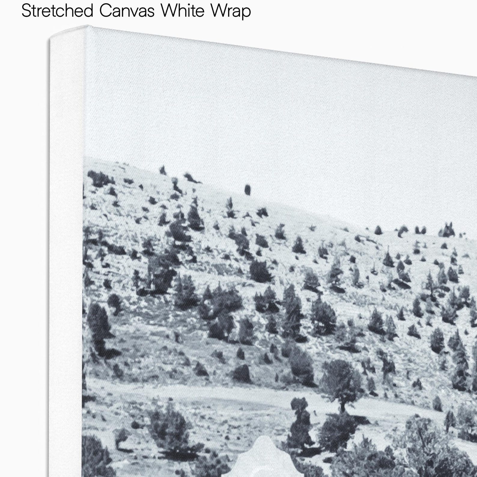 Bram Stoker's Dracula 1992, Count Dracul, Movie Legend, Iconic Actor ...