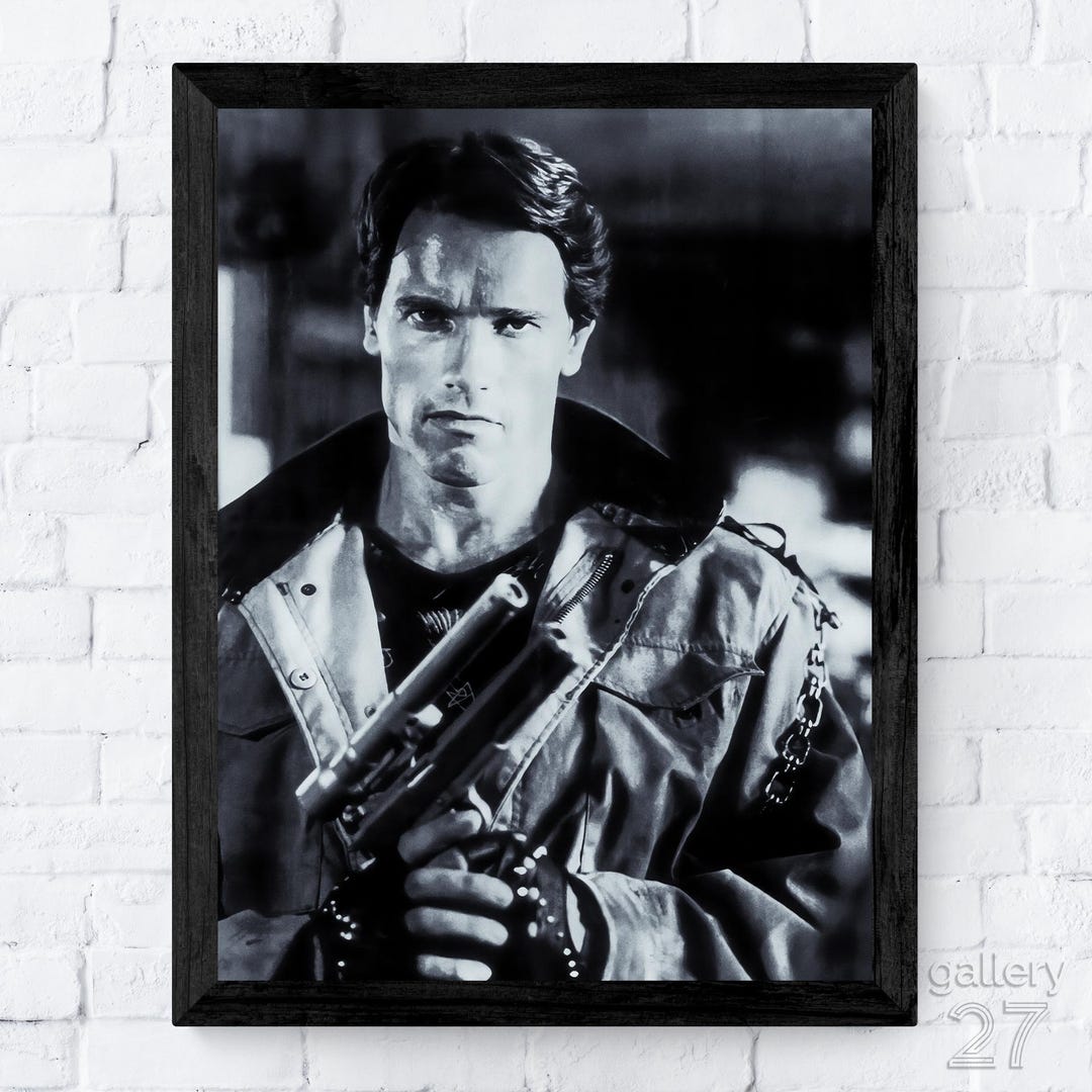 The Terminator, Arnold Schwarzenegger, T800, Movie Legend, Classic Sci ...