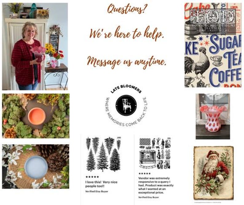 Iron Orchid Designs - Sea Shells Mould - Etsy