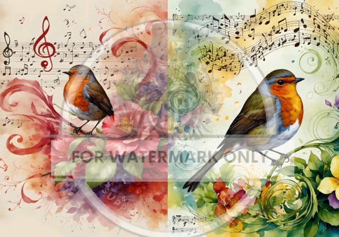 A4 Musical Bird Duo Rice Paper - DC603 - Etsy