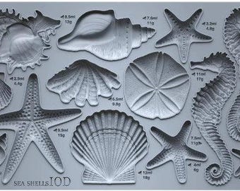 IOD Sea Shells Mould Iron Orchid Designs Starfish Seahorse Sea Shell ...