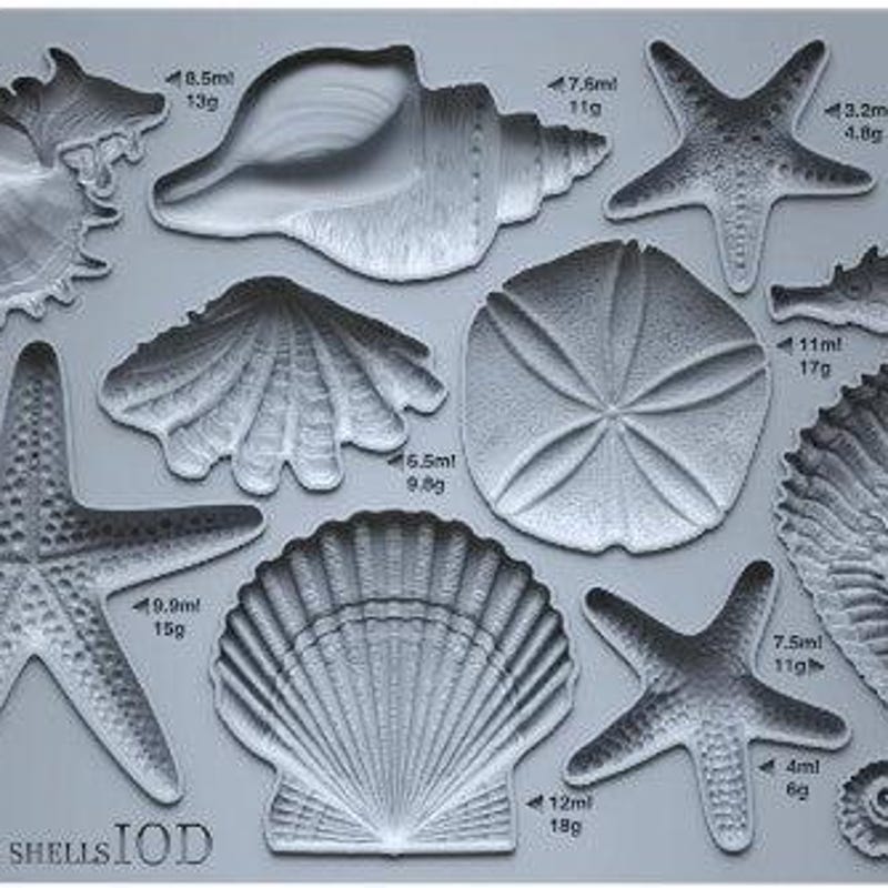 Sea Shell Mold - Etsy