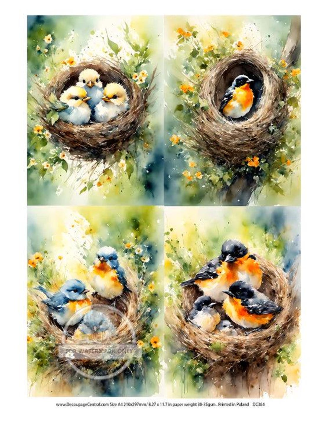 Birds Decoupage Rice Paper DC364 - Nest Design Multi-use Craft Sheets ...