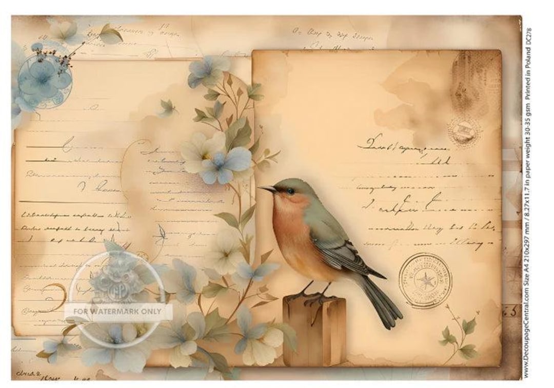 A4 Bird and Parchment Decoupage Rice Paper - DC278 - Etsy