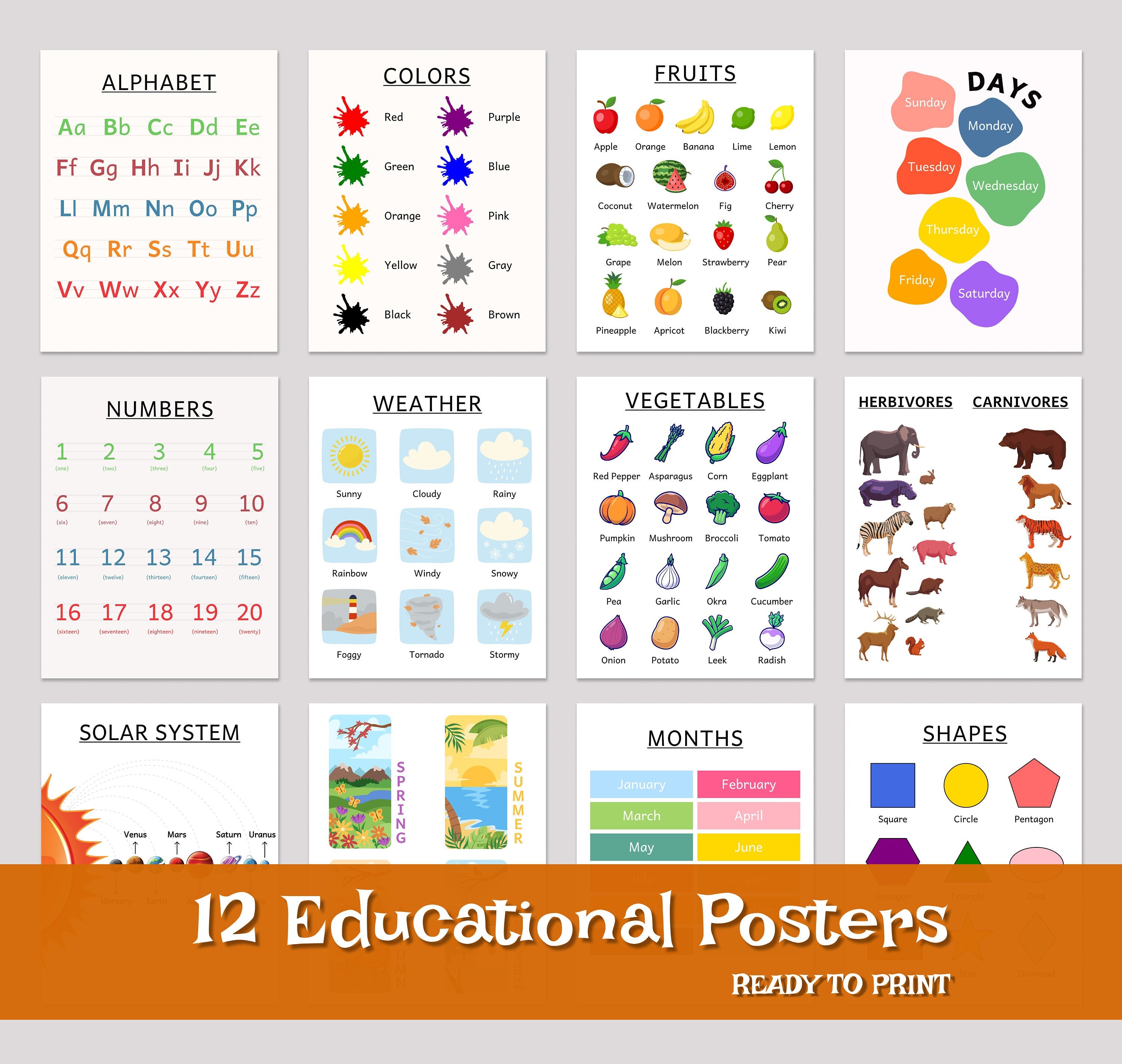 Set of 12 Educational Posters for Kids Neutral Montessori - Etsy