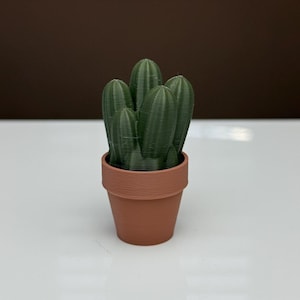 Cactus Clicker - Pain Stim Fidget Toy, Stress Relief Gadget, Anti ...