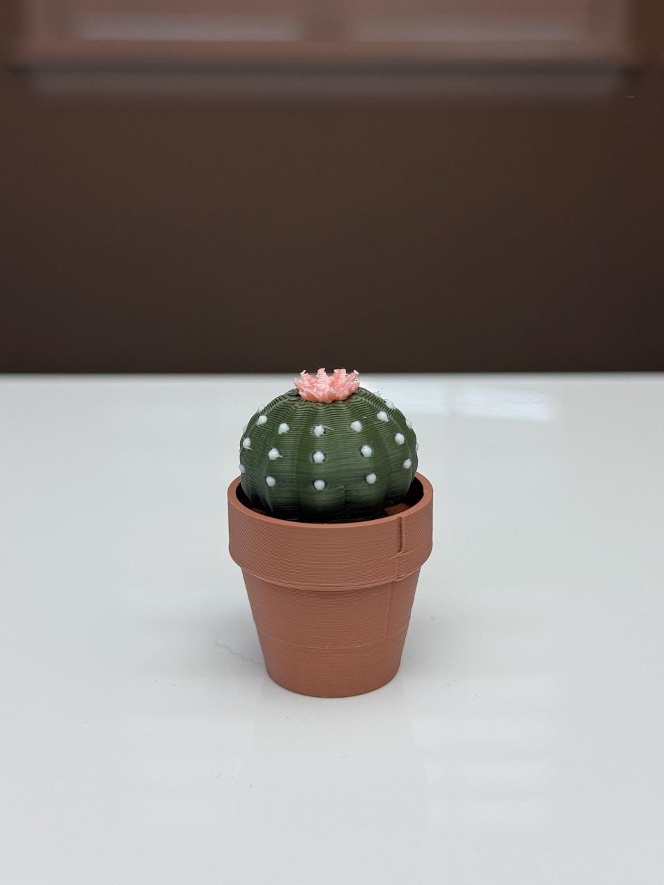 Cactus Clicker - Pain Stim Fidget Toy, Stress Relief Gadget, Anti ...