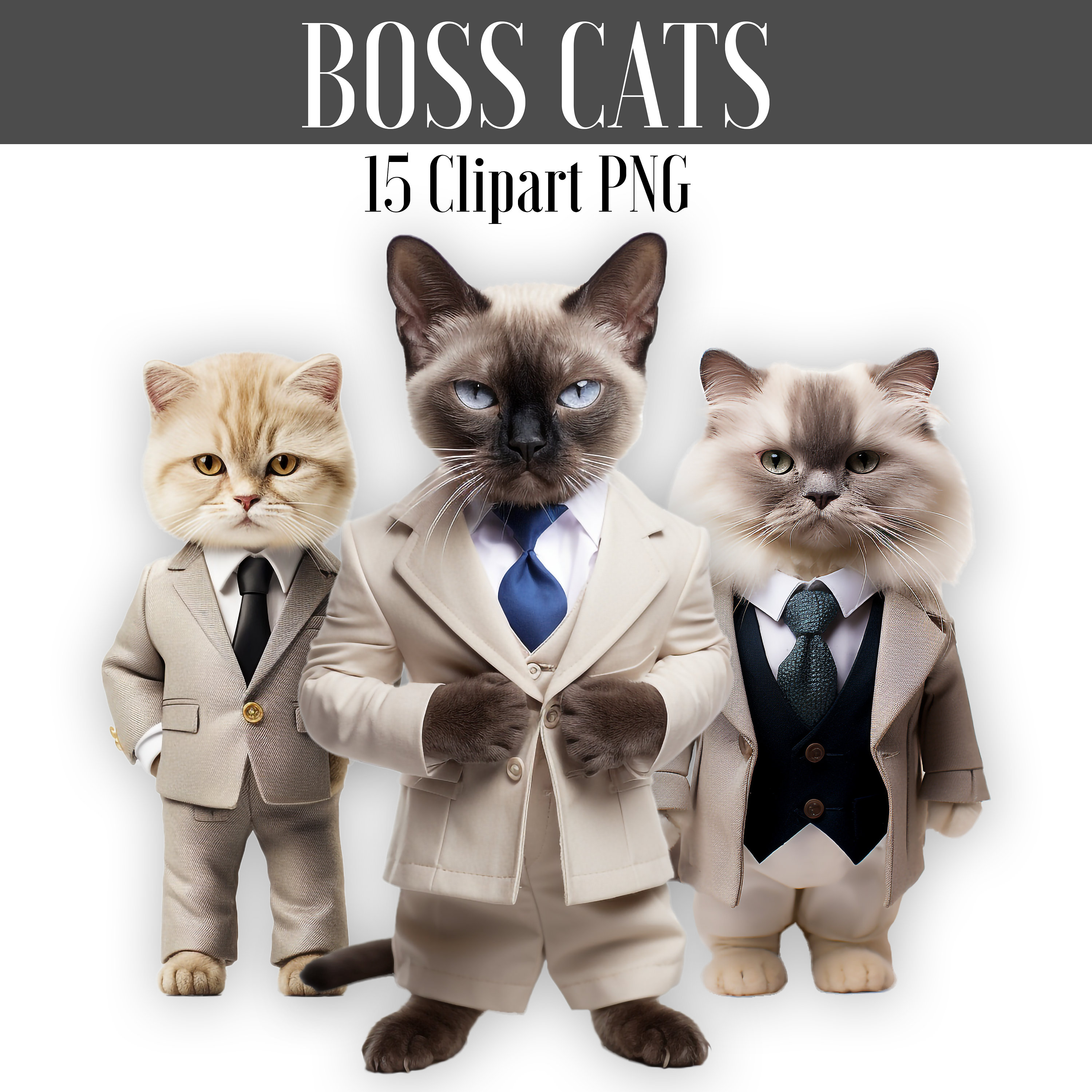 Boss Cat in Suit Clipart Bundle, [full Body] Cats Wearing Suit, Digital ...