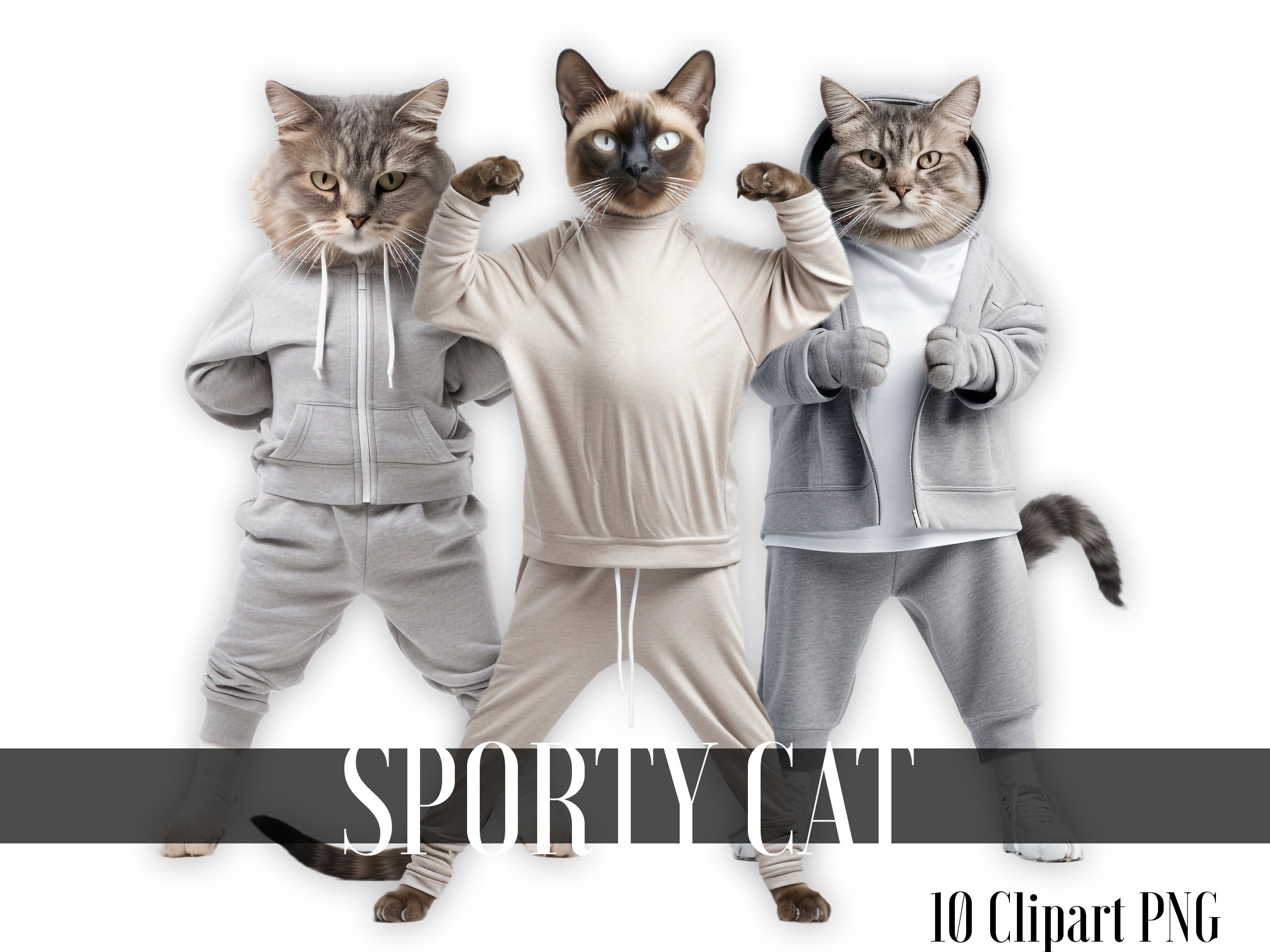 Sporty Cat in Suit Clipart Bundle, [full Body] Cats Wearing Sporty ...
