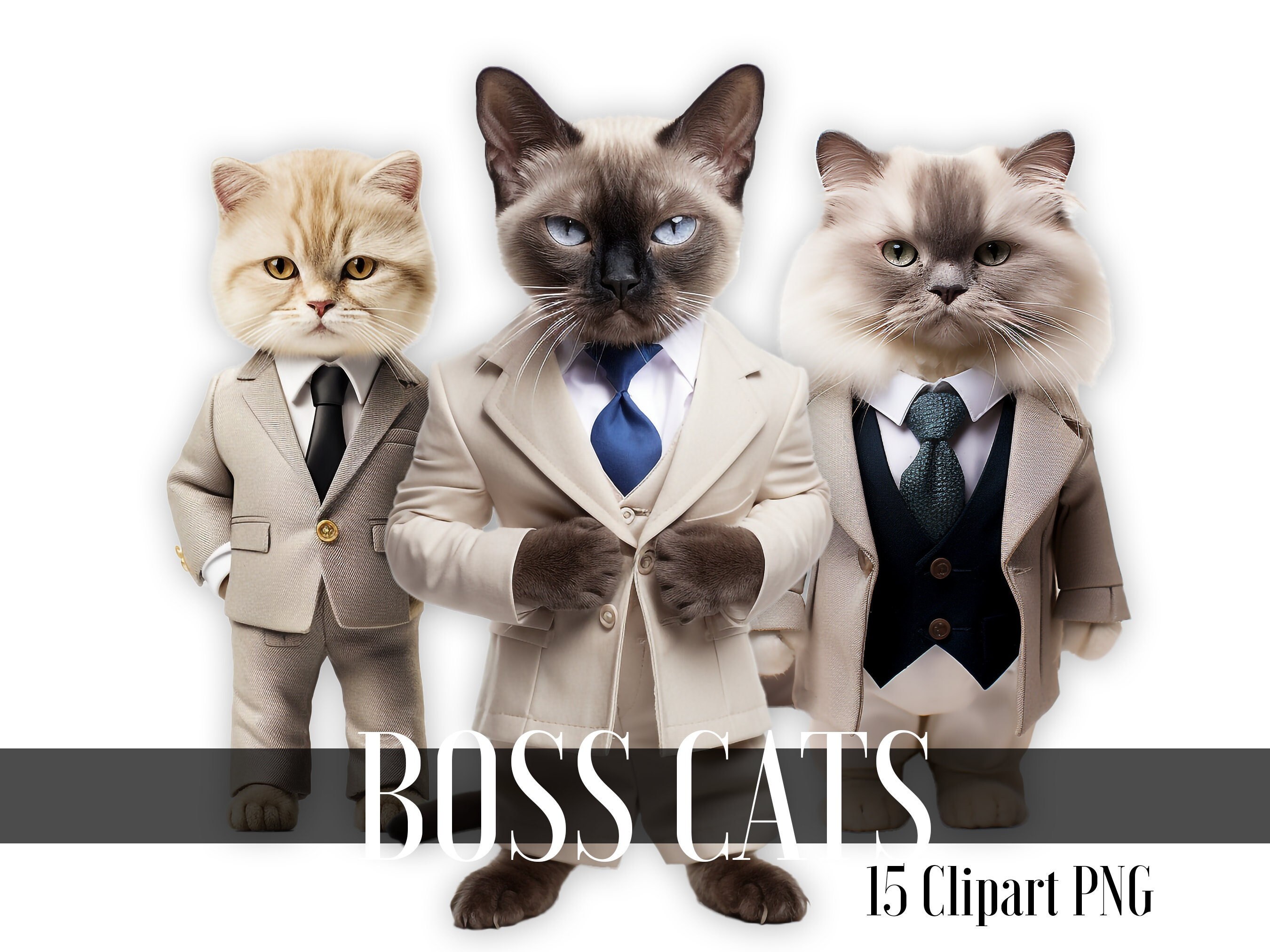 Boss Cat in Suit Clipart Bundle full Body Cats Wearing - Etsy
