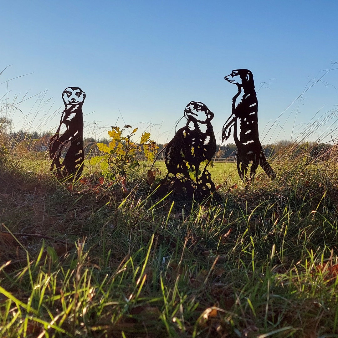Meerkats Garden Statue Corten Steel Full Size - Etsy