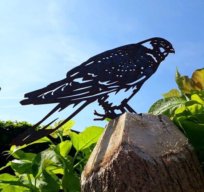 Falcon Garden Statue Corten Steel Full Size - Etsy