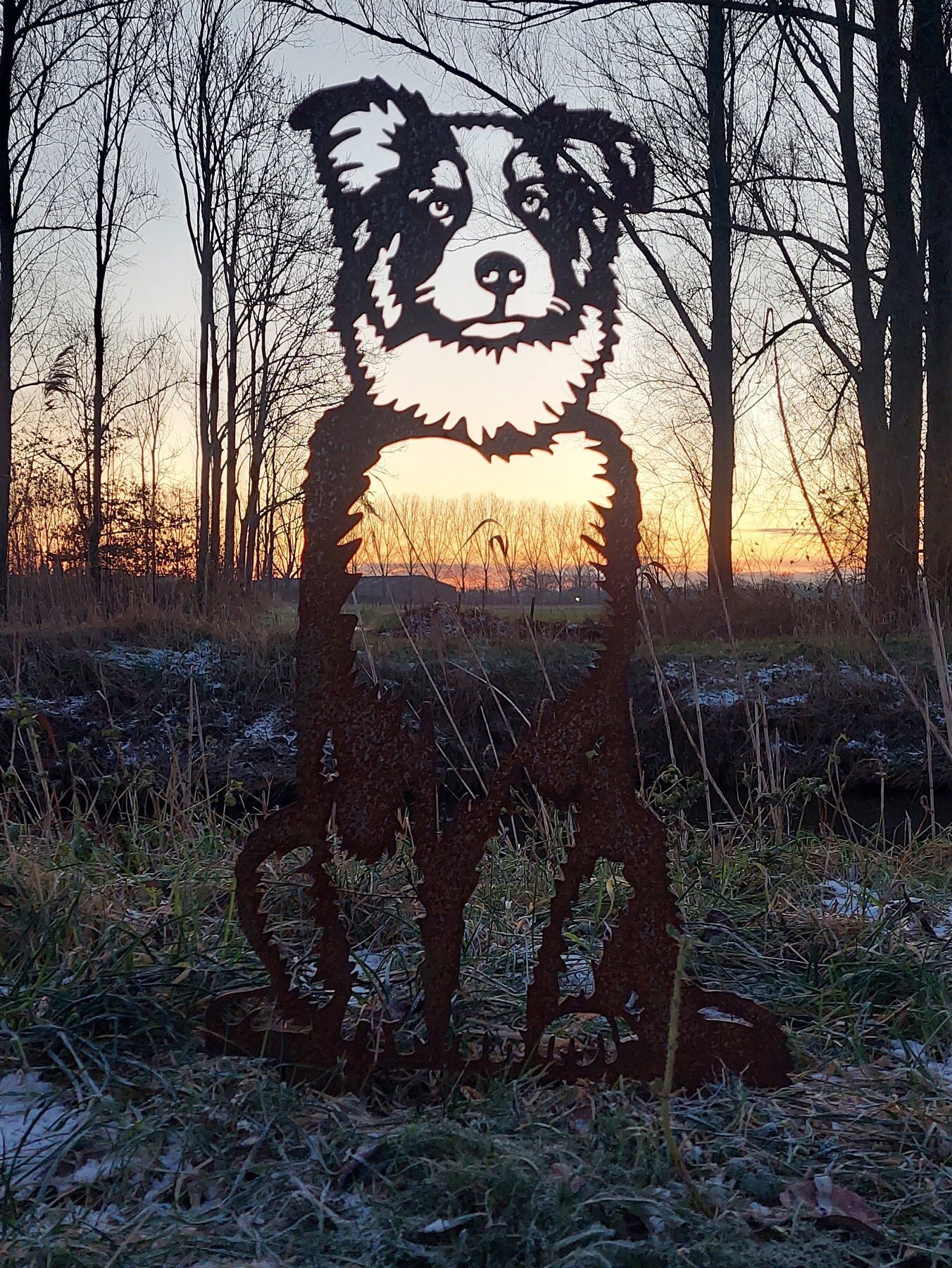 Australian Shepherd - Garden Statue - Corten Steel - Full Size - Etsy