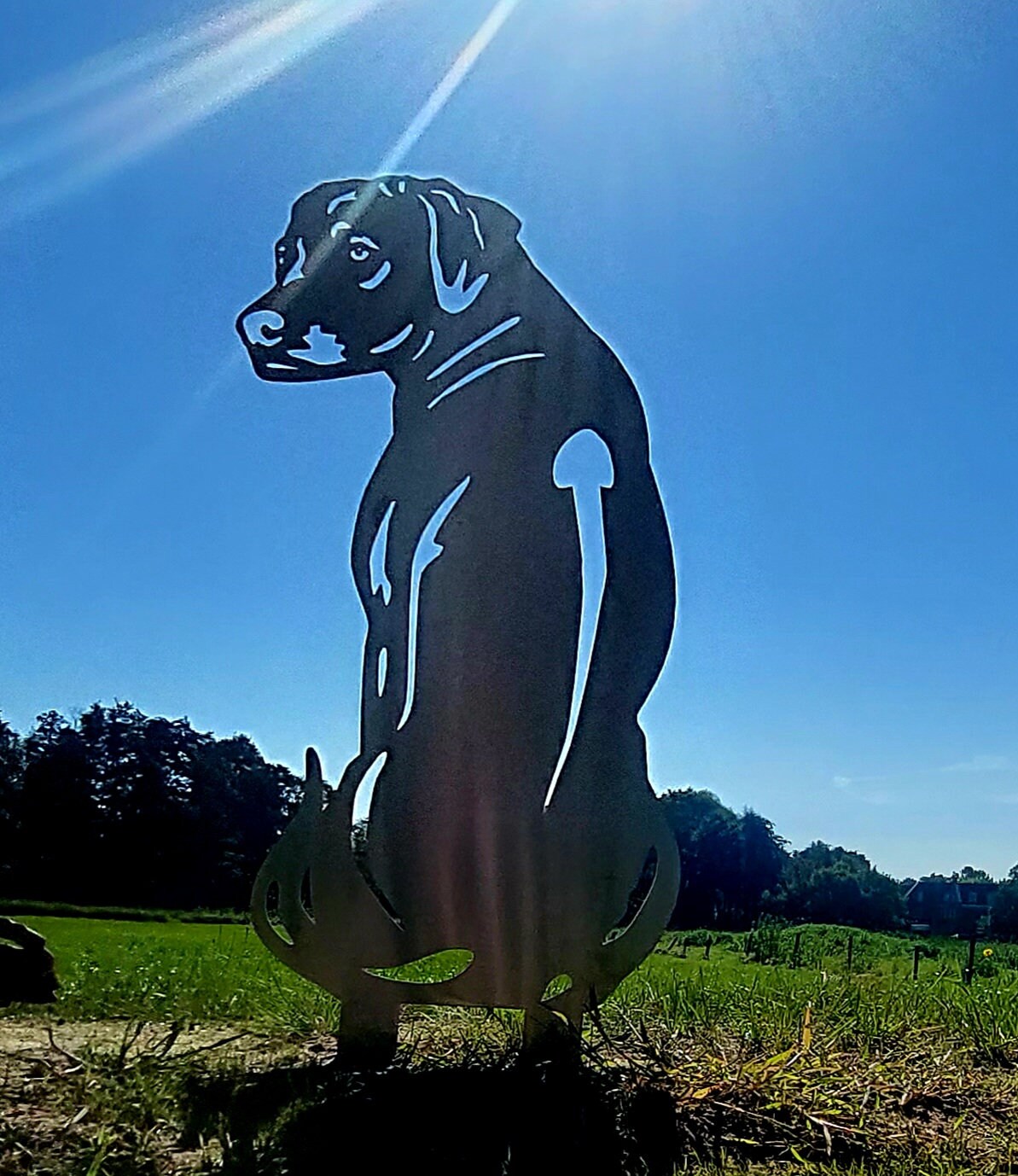 Rhodesian Ridgeback Garden Statue Corten Steel Full Size - Etsy