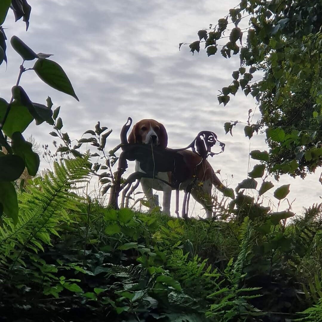 Beagle - Garden Statue - Corten Steel - Full Size - Etsy