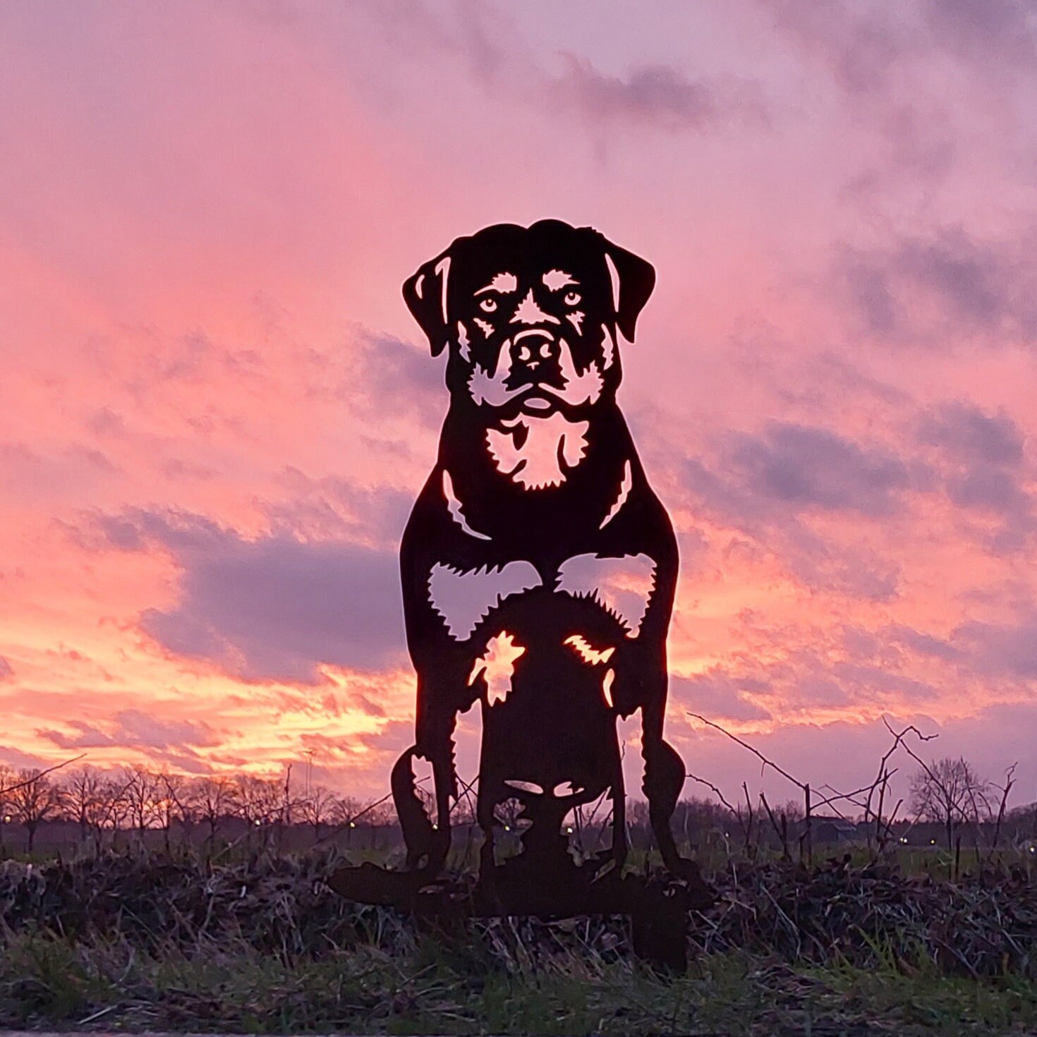 Rottweiler Garden Statue Corten Steel Full Size - Etsy