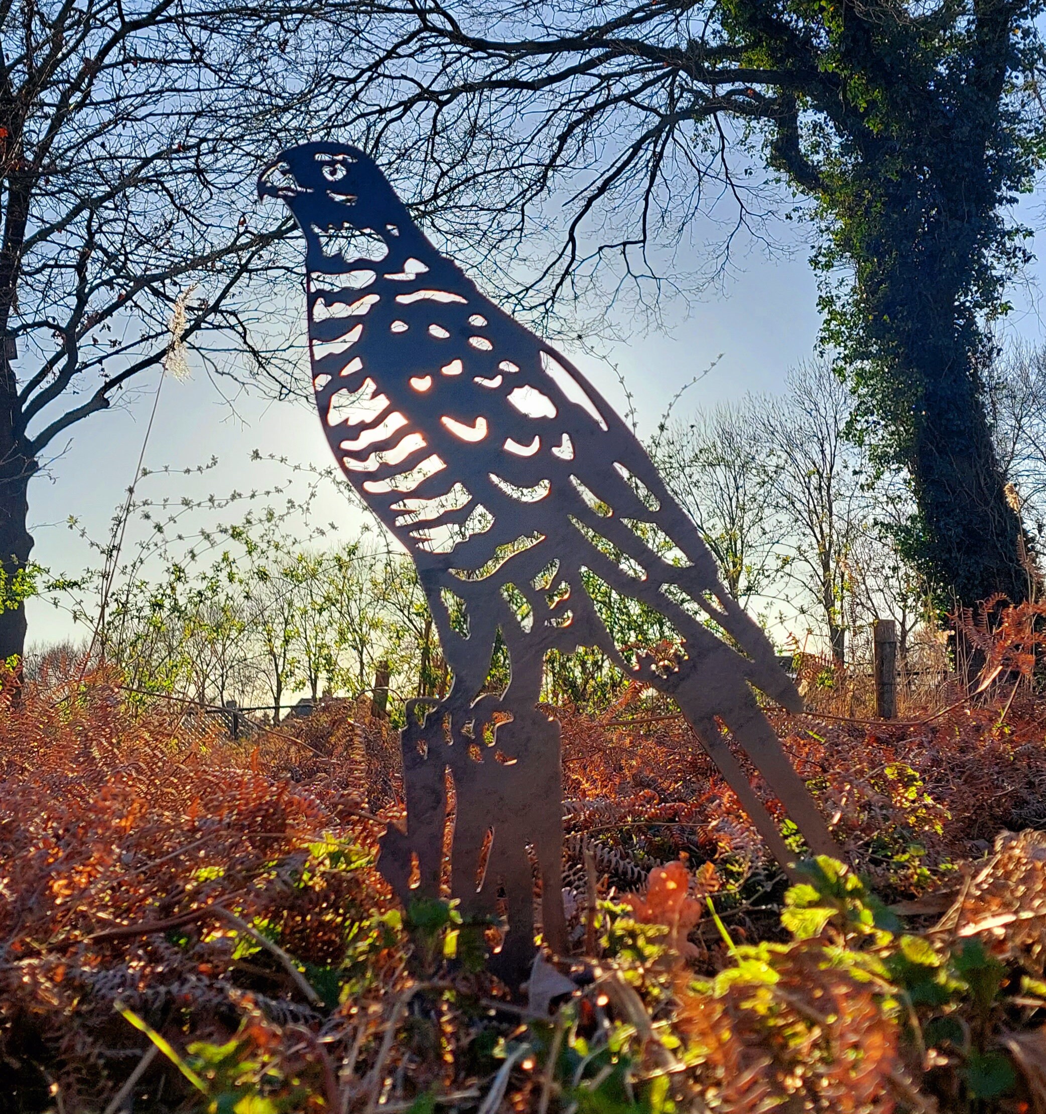 Hawk Garden Statue Corten Steel Full Size - Etsy