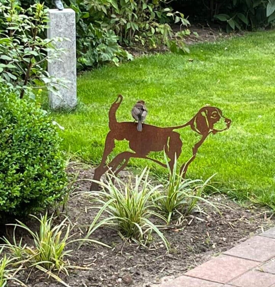 Beagle - Garden Statue - Corten Steel - Full Size - Etsy