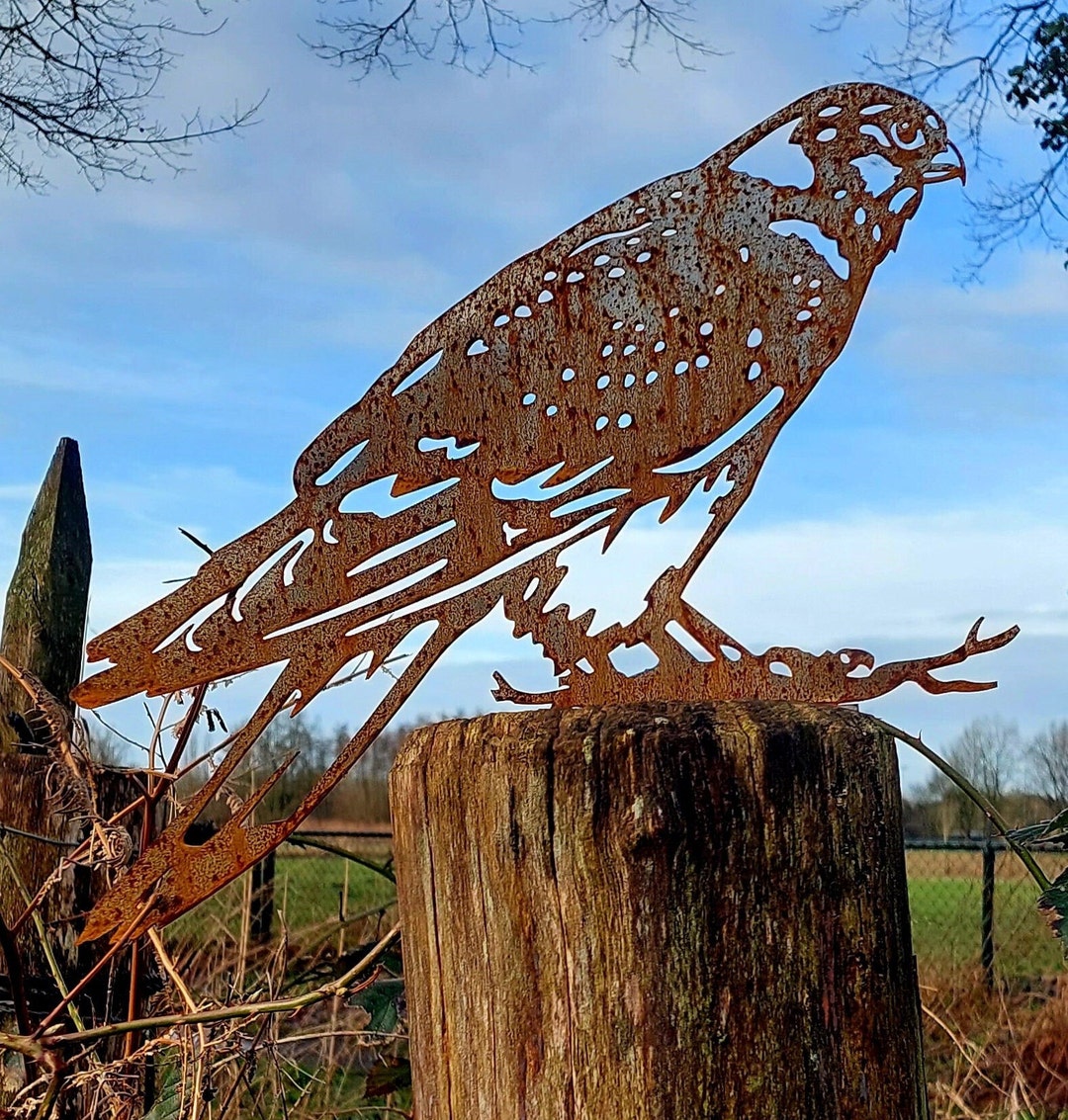 Falcon Garden Statue Corten Steel Full Size - Etsy