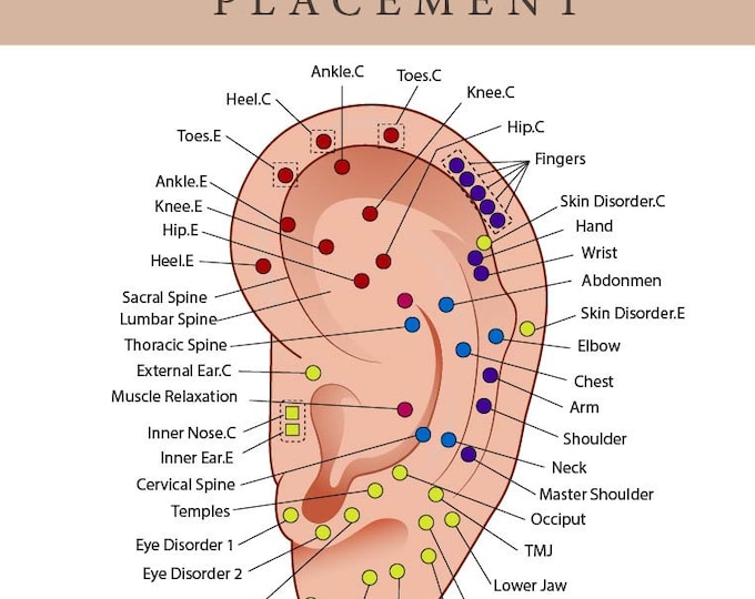 Ear Reflexology Guide and Chart - Etsy