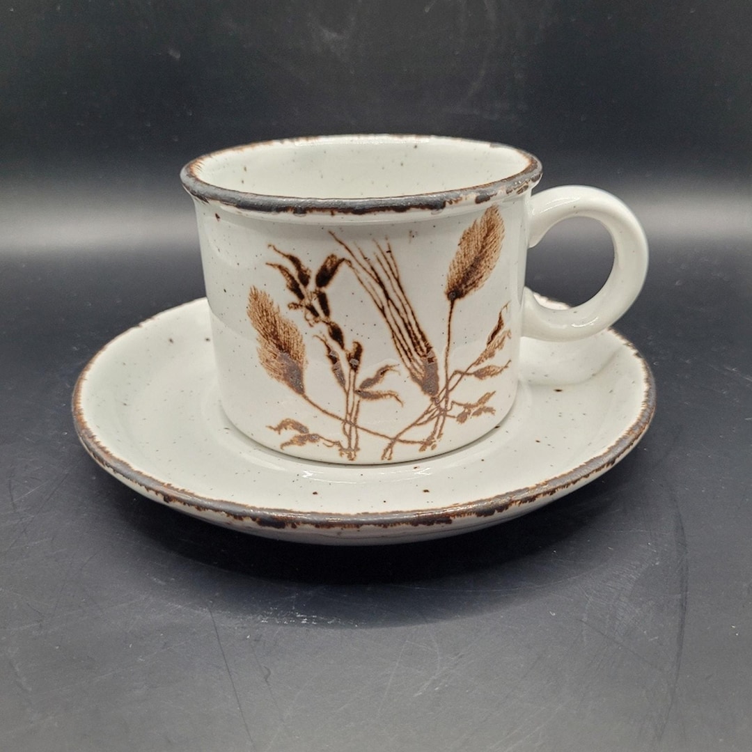 Vintage Wedgewood Stonehenge Midwinter Cup With Saucer Set of 2 - Etsy