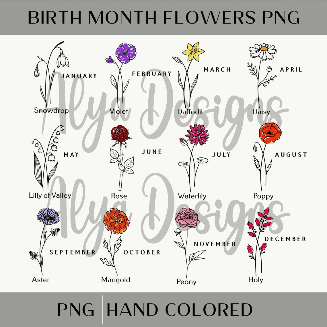 Birth Month Flowers Png Svg Sublimation Designs Download Cri Cut Files ...