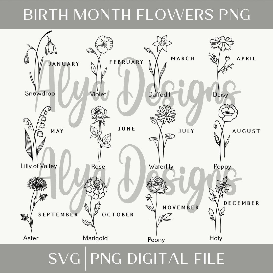 Birth Month Flowers Png Svg Sublimation Designs Download Cri Cut Files ...