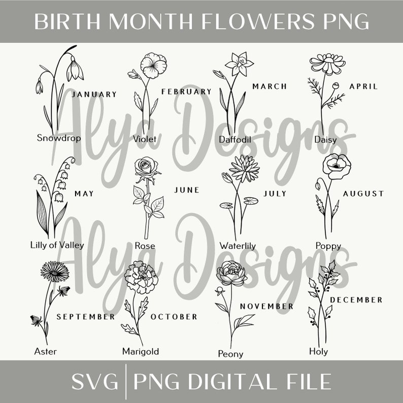 Birth Month Flowers Png Svg Sublimation Designs Download Cri Cut Files ...