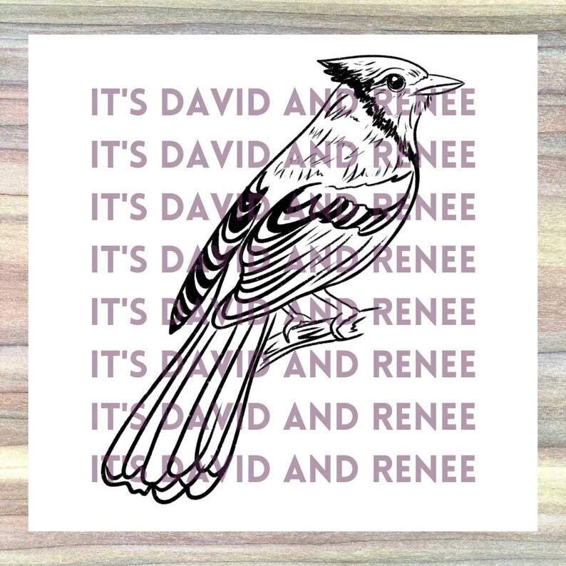 Blue Jay PNG Digital File // Art Patterns, Pyrography Templates, Wood ...