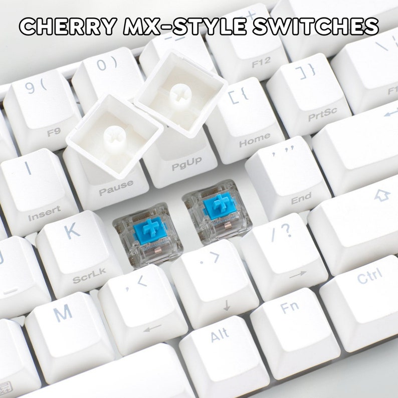 Custom Photo Resin Keycap - Personalized Artisan Keycap for MX Cherry ...