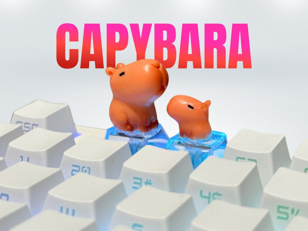 Capybara Keycap, Cute Keycaps, Funny Keycap, Artisan Keycap, Keycap for ...