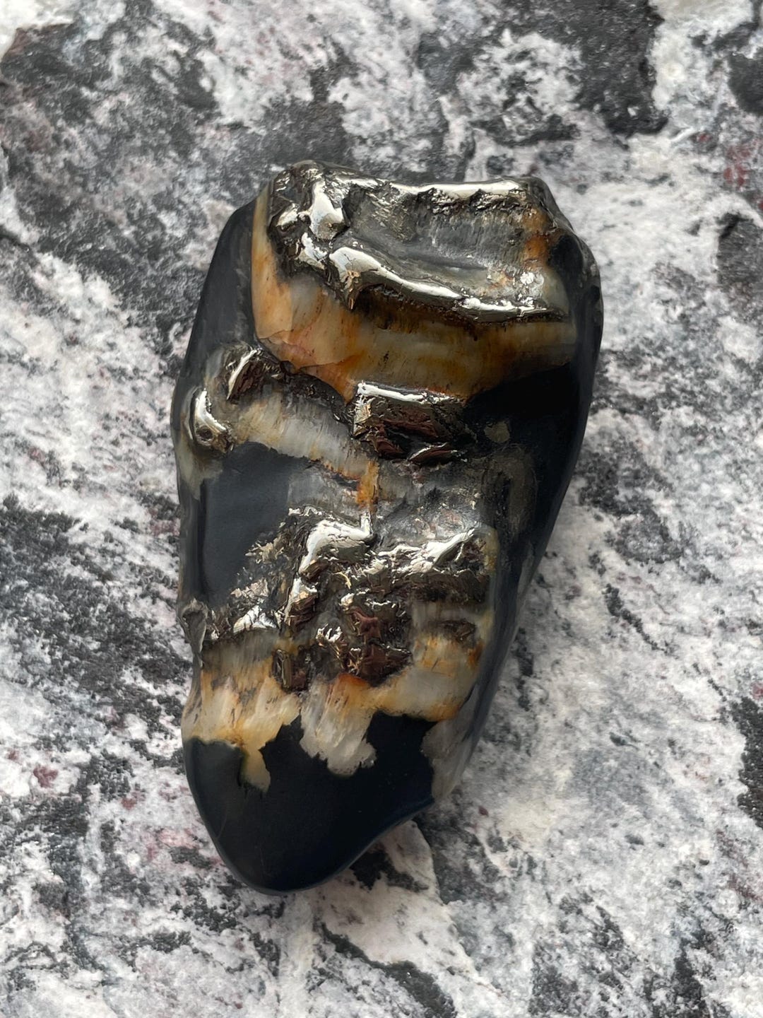 Dragon Bone Stone From Taiwan (natural Shape) Rare Gem Handmade ...