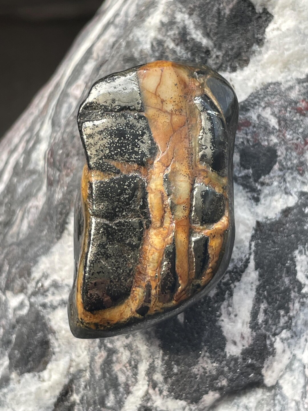 Black Magnetic Dragon Bone Stone From Taiwan Rare Gem Handmade ...