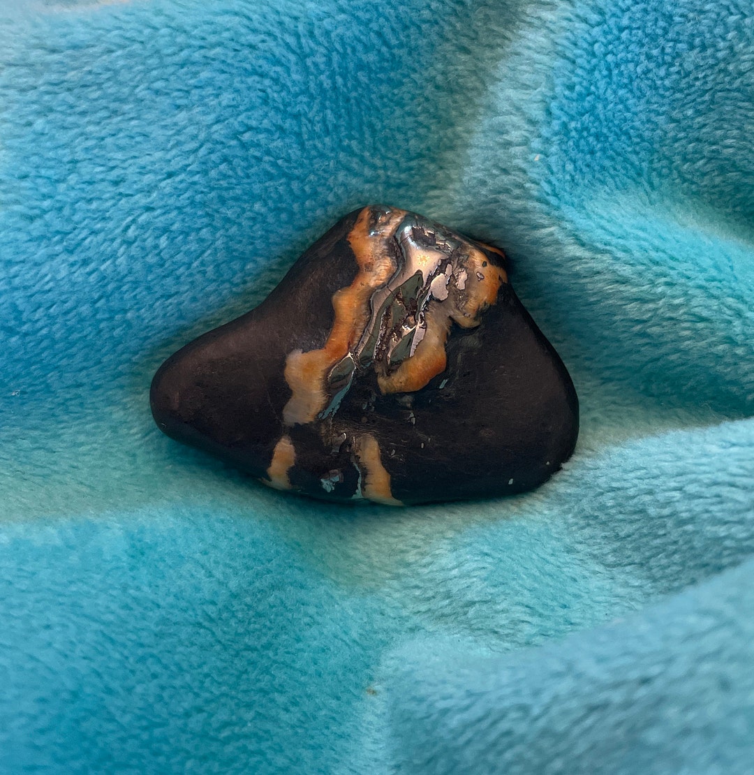 Dragon Bone Stone Rare Taiwanese Gem - Etsy