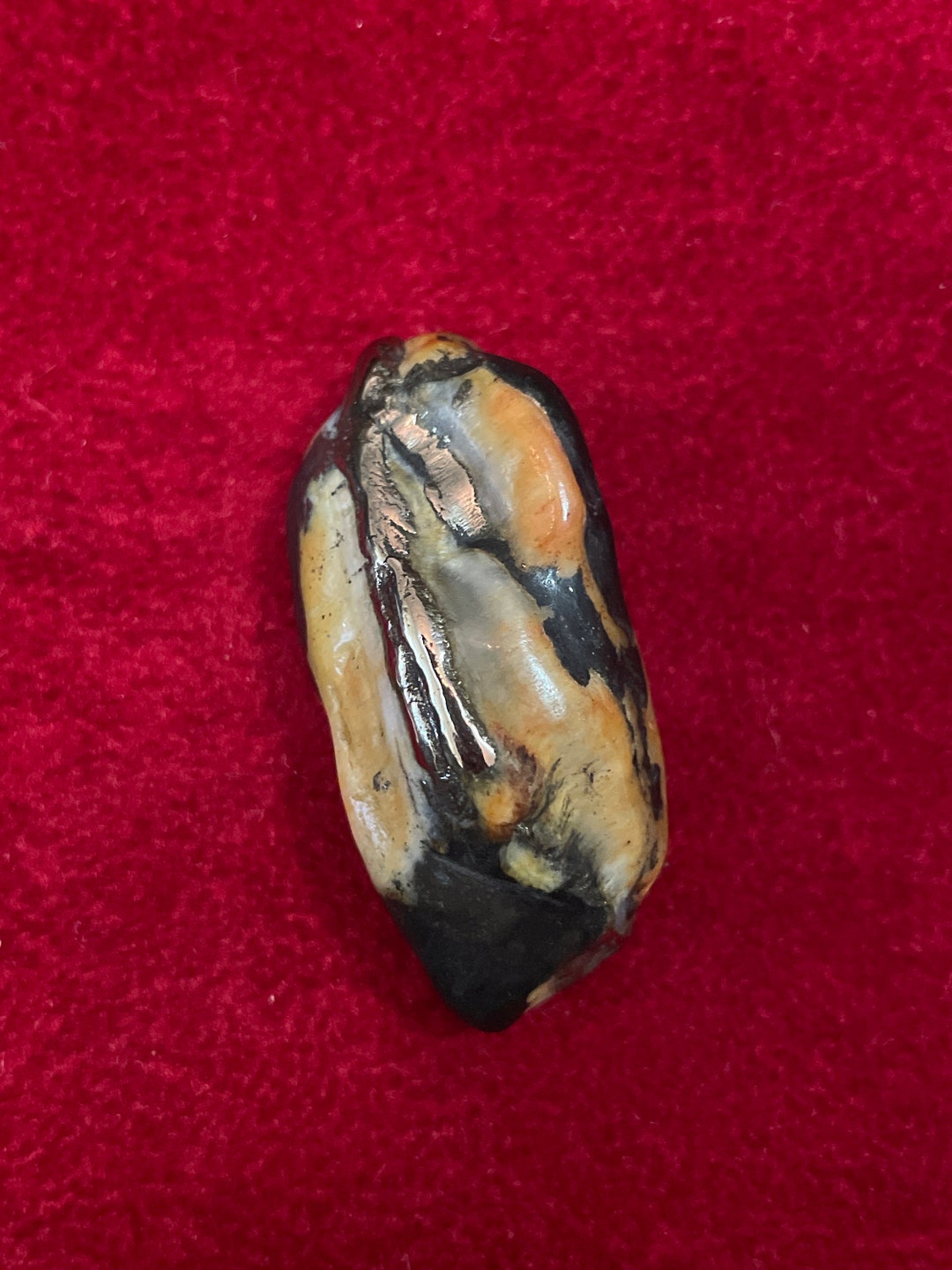 Dragon Bone Stone Rare Taiwanese Gem - Etsy