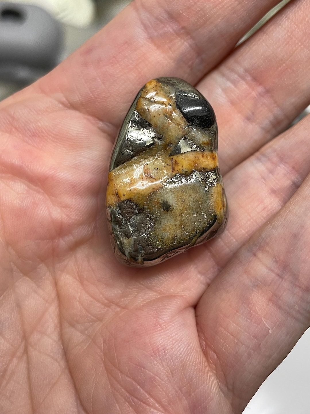 Dragon Bone Stone Rare Taiwanese Gem - Etsy