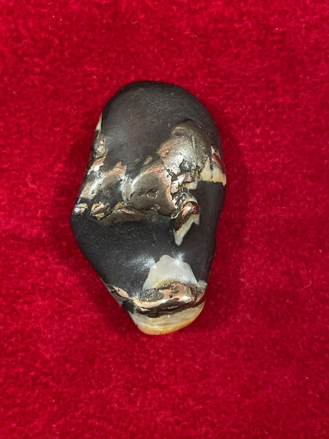 Dragon Bone Stone Rare Taiwanese Gem - Etsy