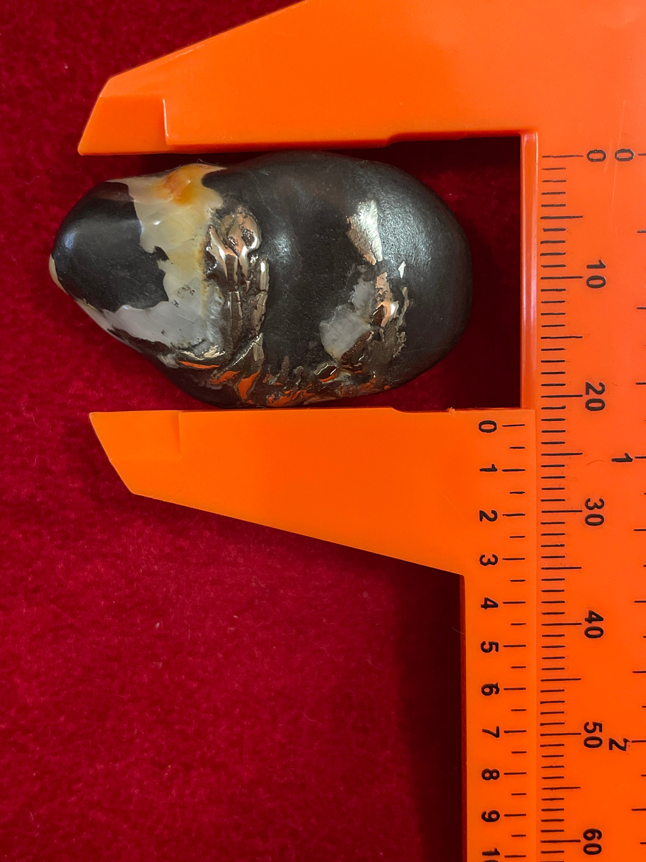 Dragon Bone Stone Rare Taiwanese Gem - Etsy