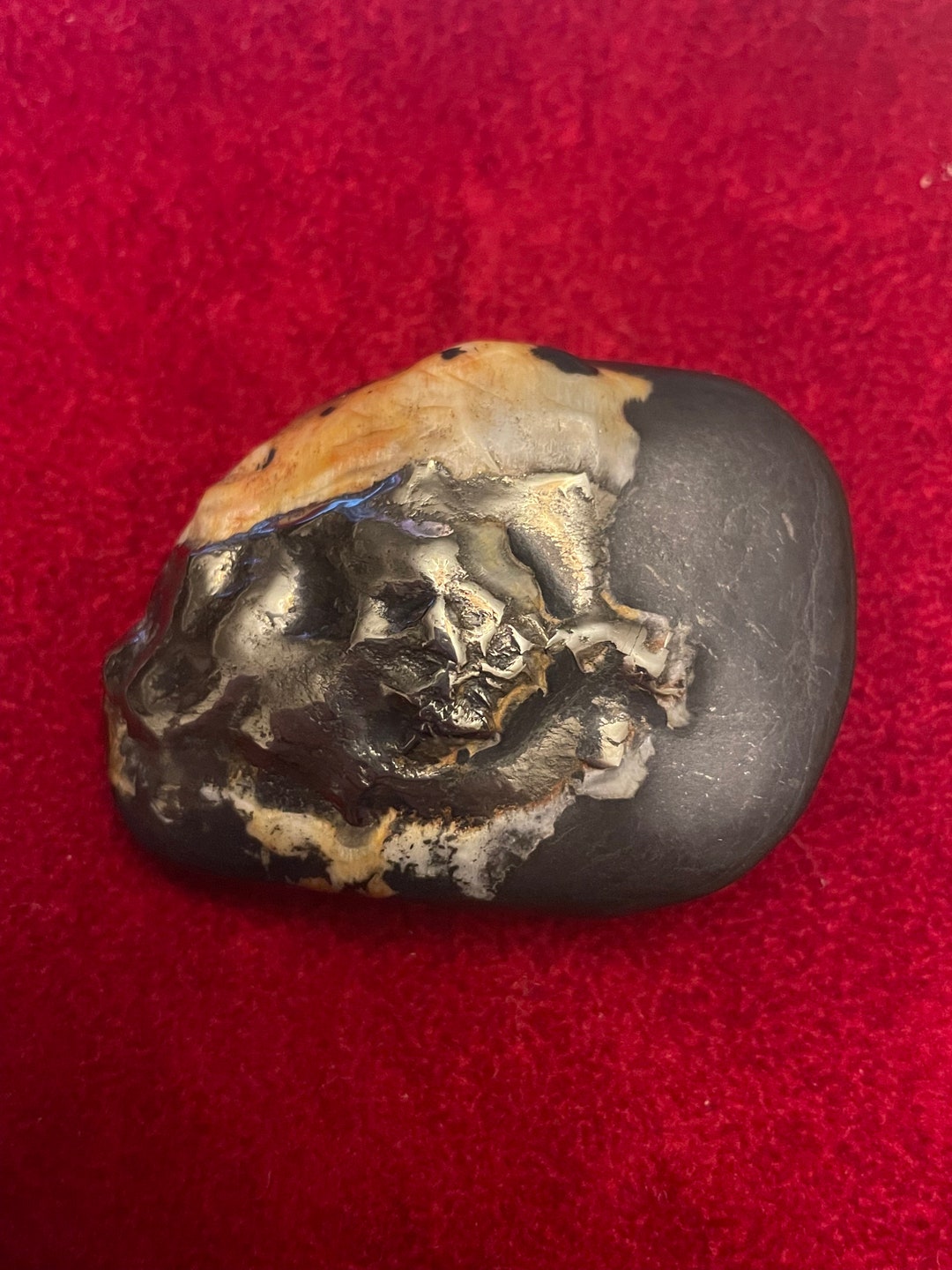 Dragon Bone Stone Rare Taiwanese Gem - Etsy