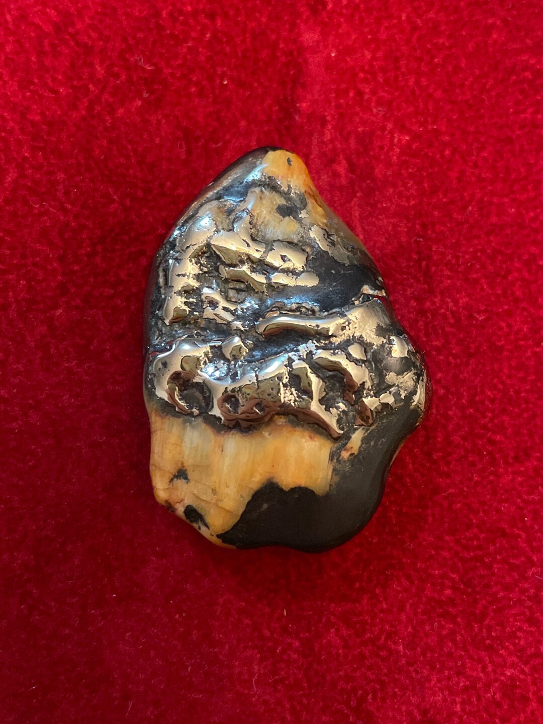 Dragon Bone Stone Rare Taiwanese Gem - Etsy