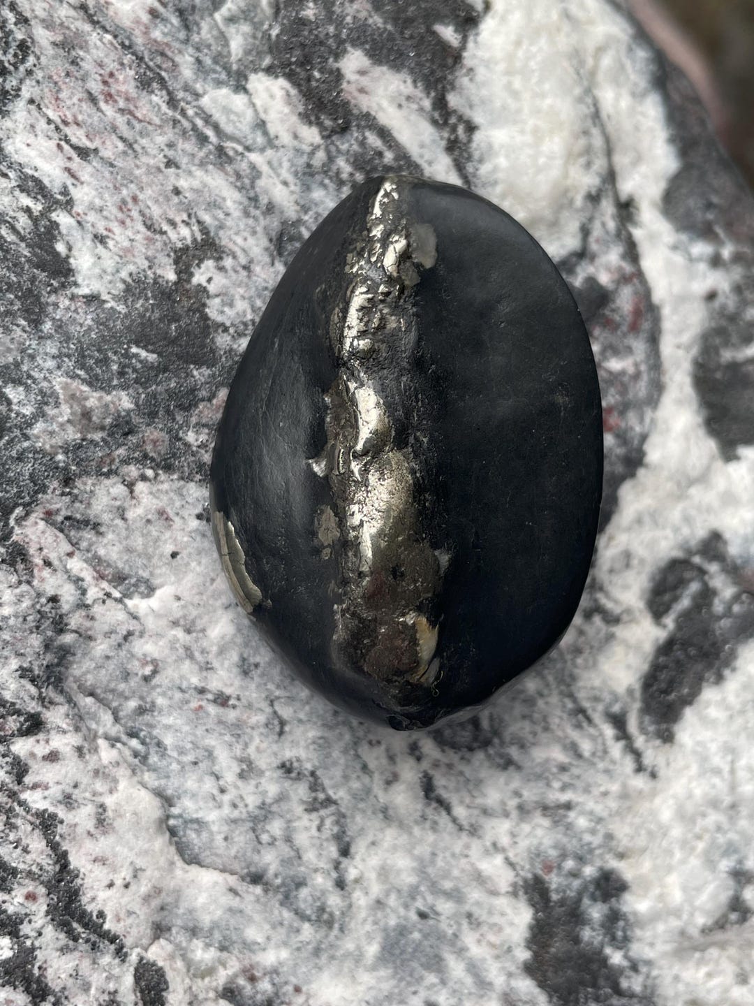 Dragon Bone Stone From Taiwan (natural Shape) Rare Gem Handmade ...