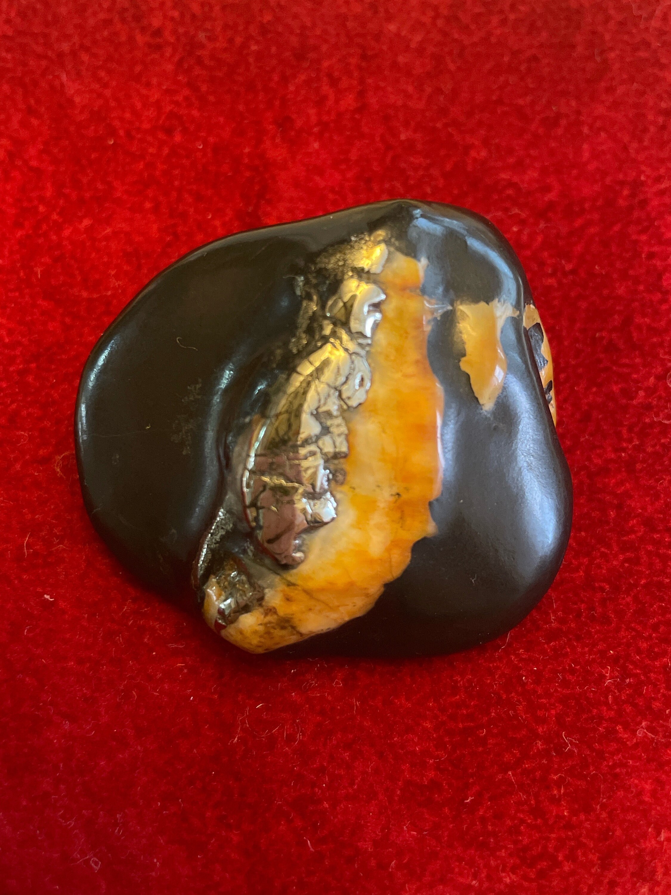 Dragon Bone Stone Rare Taiwanese Gem - Etsy