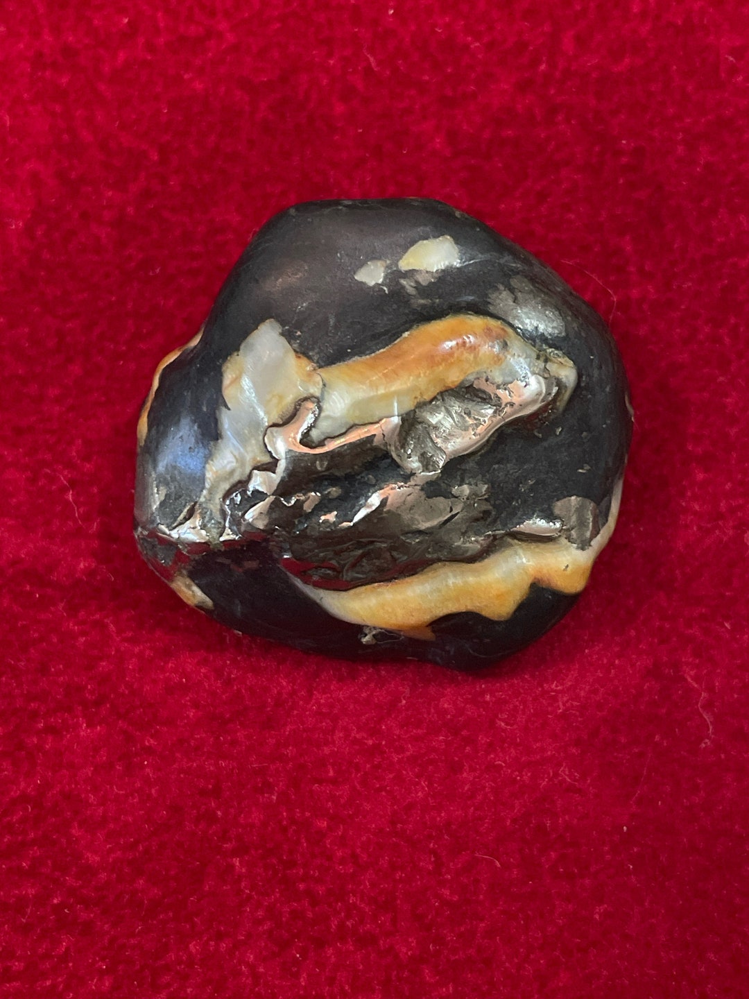 Dragon Bone Stone Rare Taiwanese Gem - Etsy