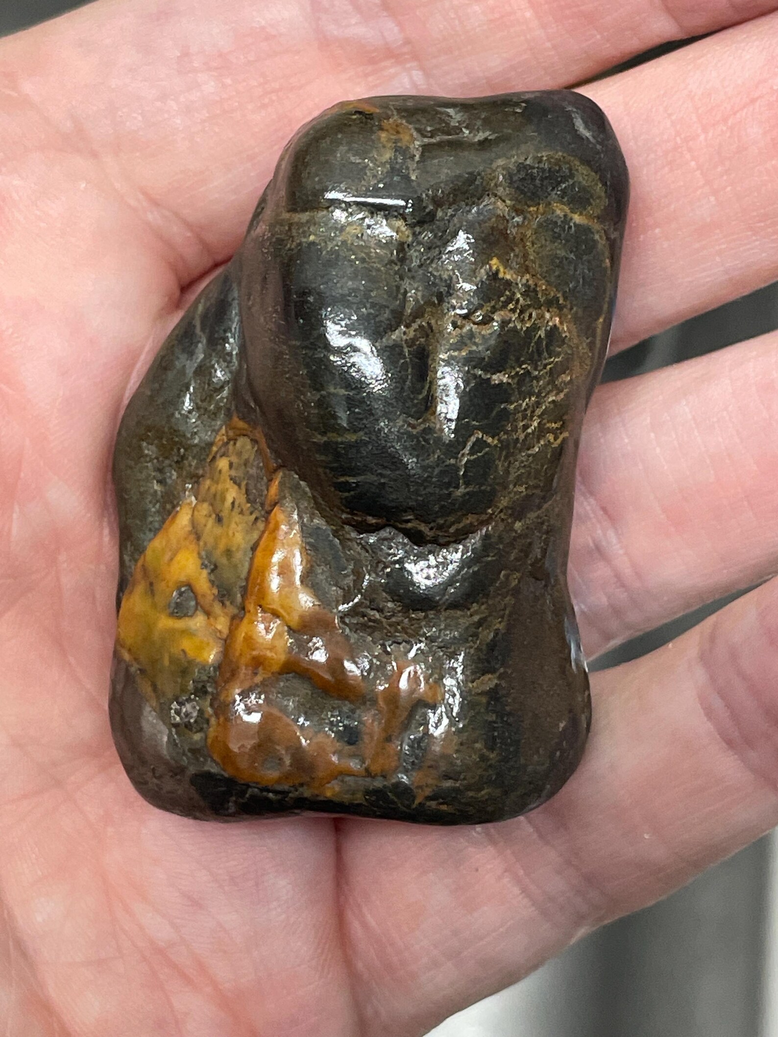 Black Magnetic Dragon Bone Stone From Taiwan (natural Shape OWL) Rare ...