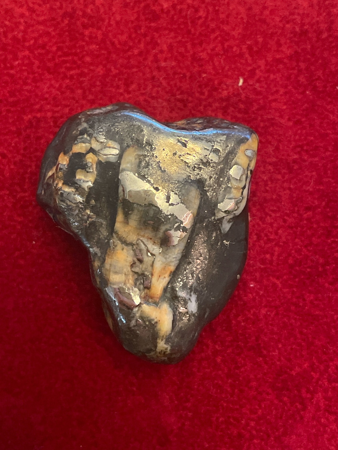 Dragon Bone Stone Rare Taiwanese Gem - Etsy