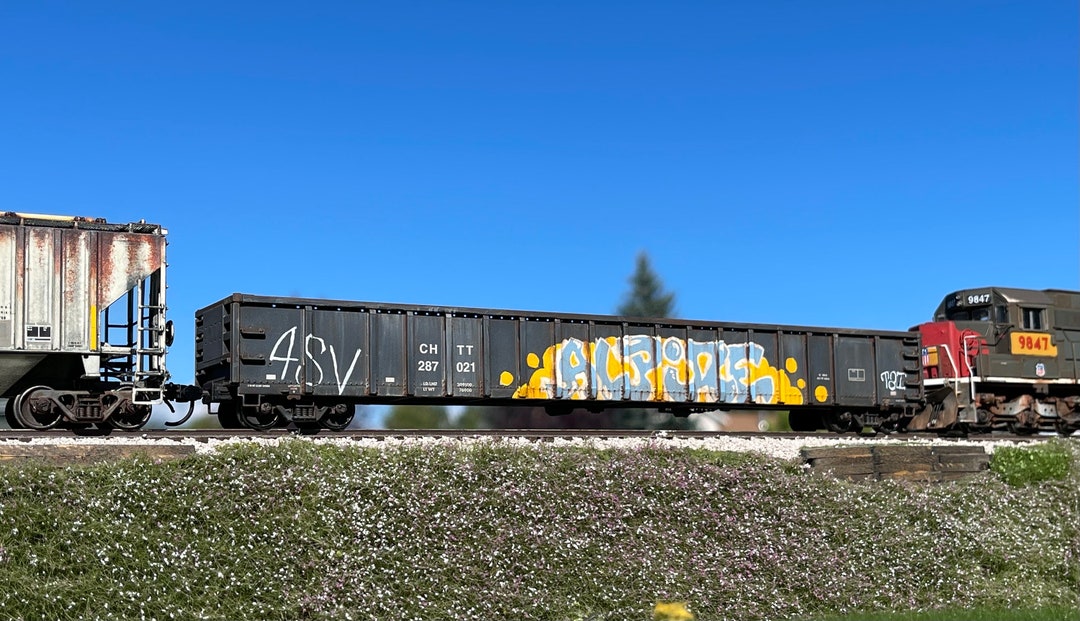HO Scale Walthers Mainline 68’ CHTT Railgon Gondola. - Etsy