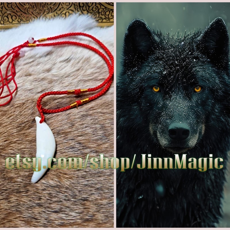 Real Wolfs Tooth Necklace - Etsy