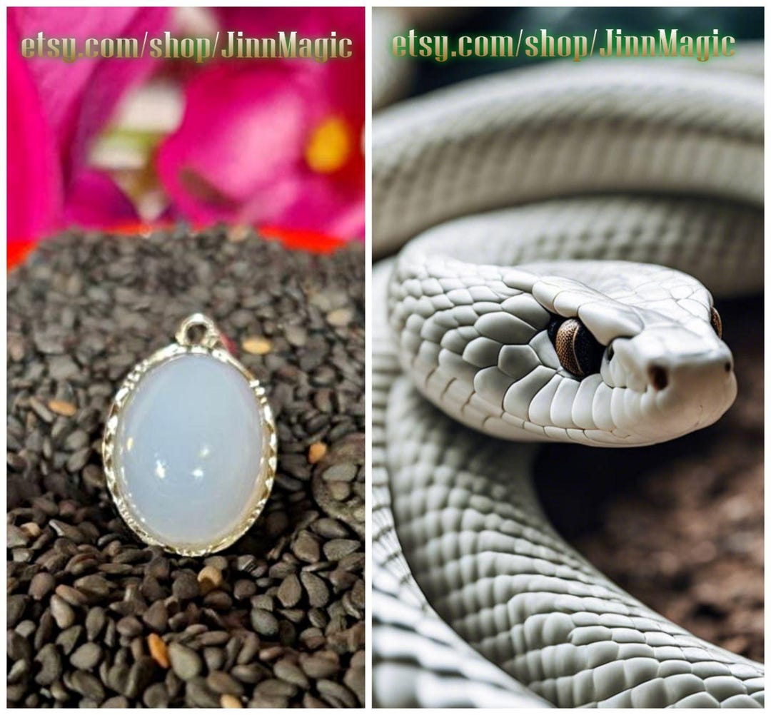 White King Cobra Pearl, Nagamani, Mystical Snake Gemstone Bezoar for ...