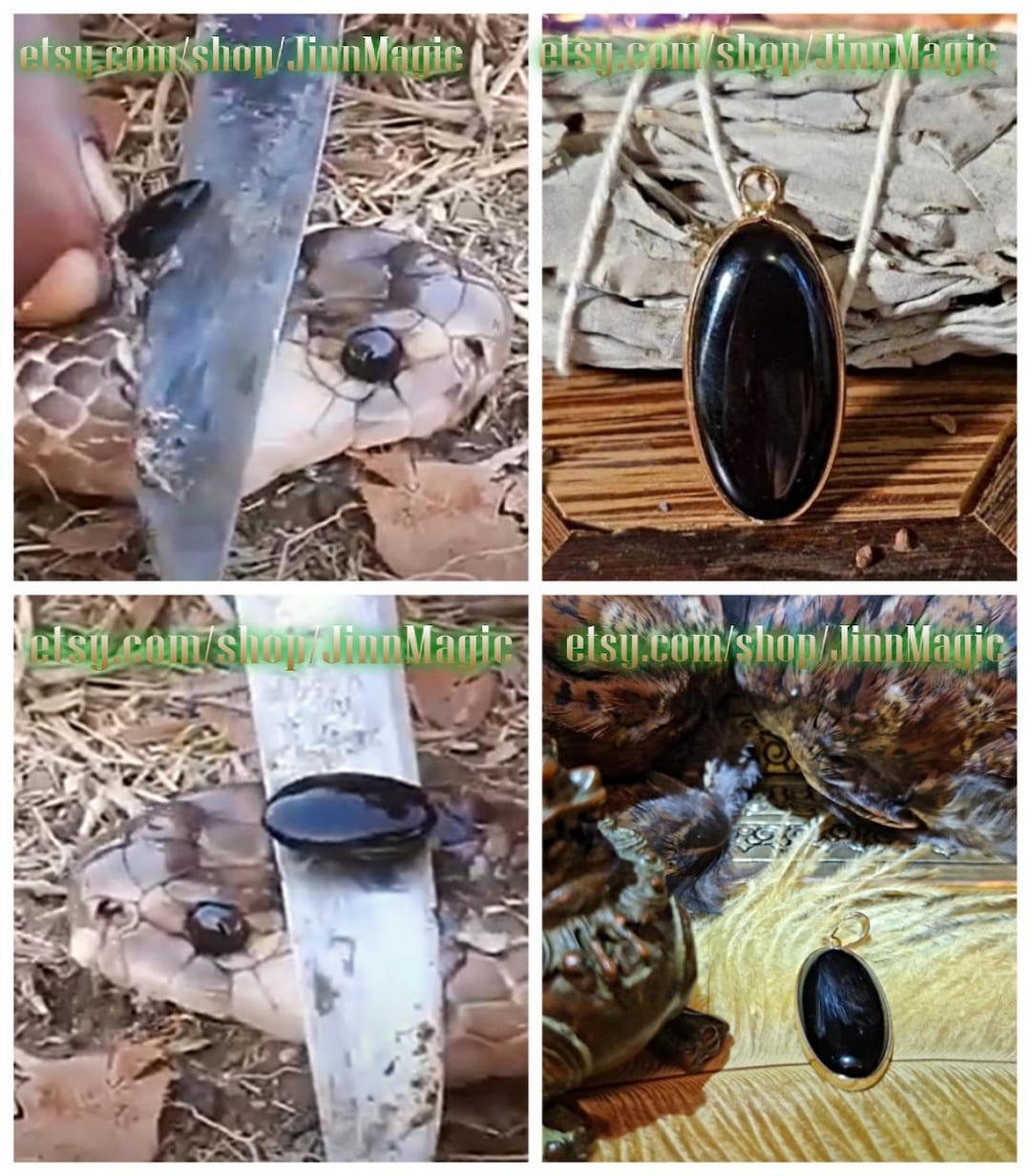 Black King Cobra Pearl, Nagamani, Authentic Snake Stone, Mustika Bezoar ...